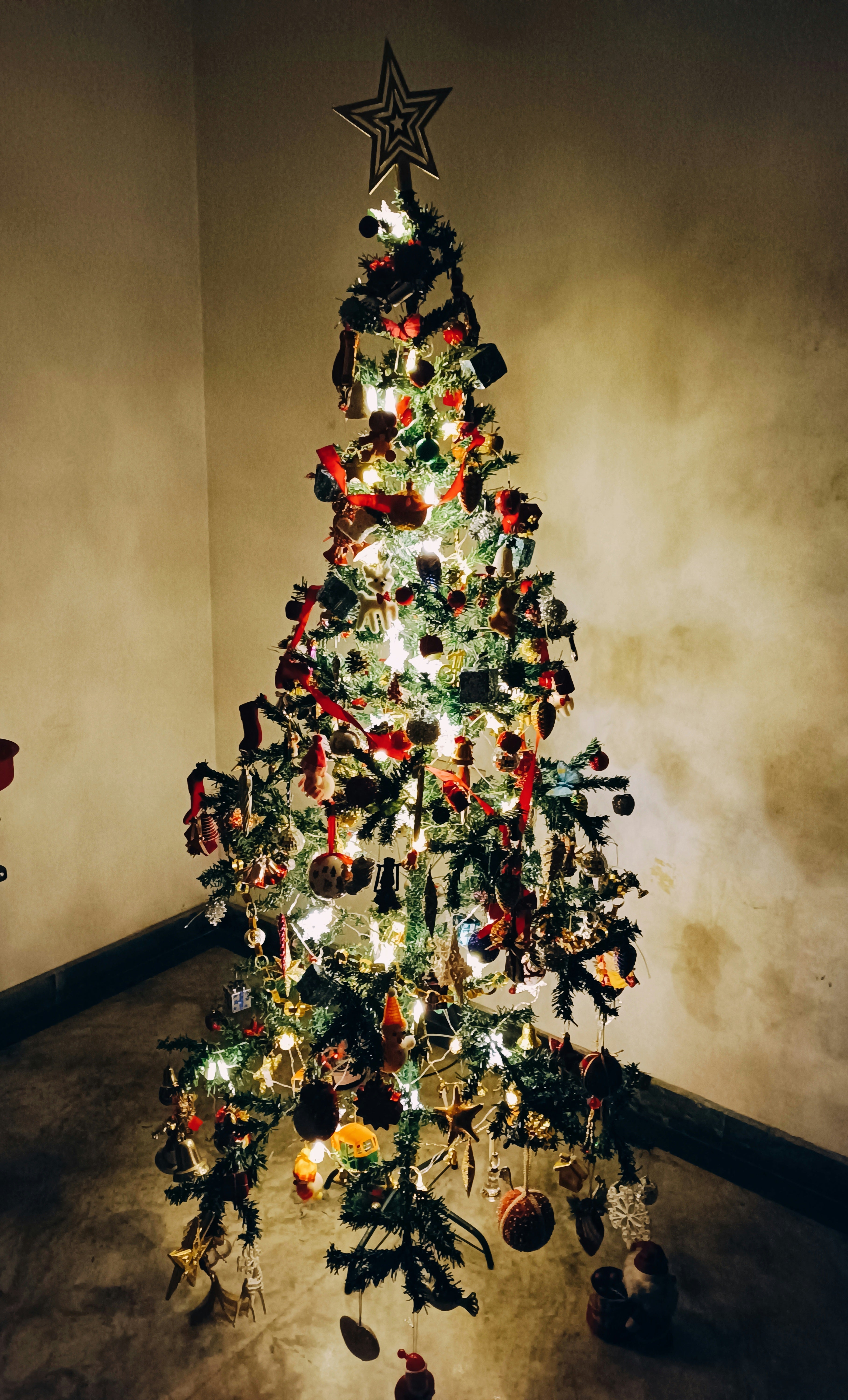 The Symbolism of the Real Christmas Tree and Its Meaning in the UK ...